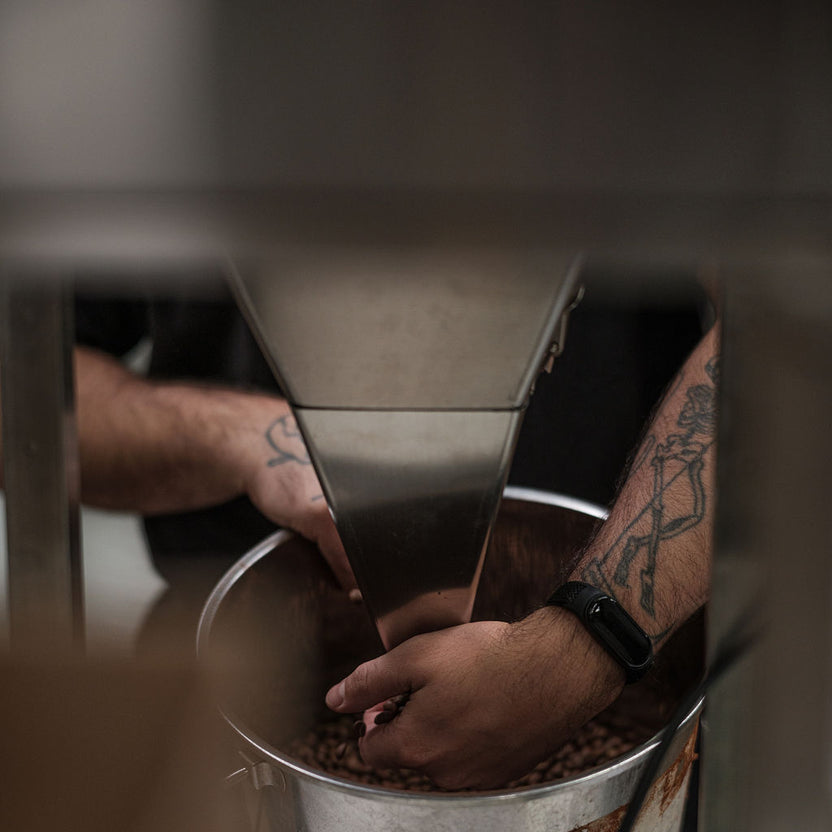 James Hoffman's Decaf Project | Wogan Coffee